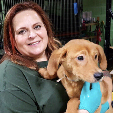 SAVE.DOG® Brand provides comfort & support to dogs with homes and dogs ...